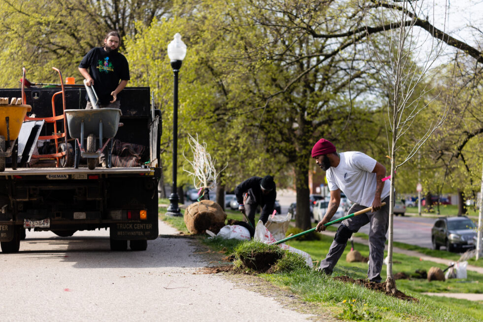 Home - Baltimore Tree Trust