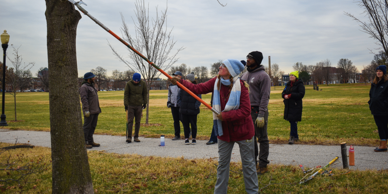 Our Board - Baltimore Tree Trust