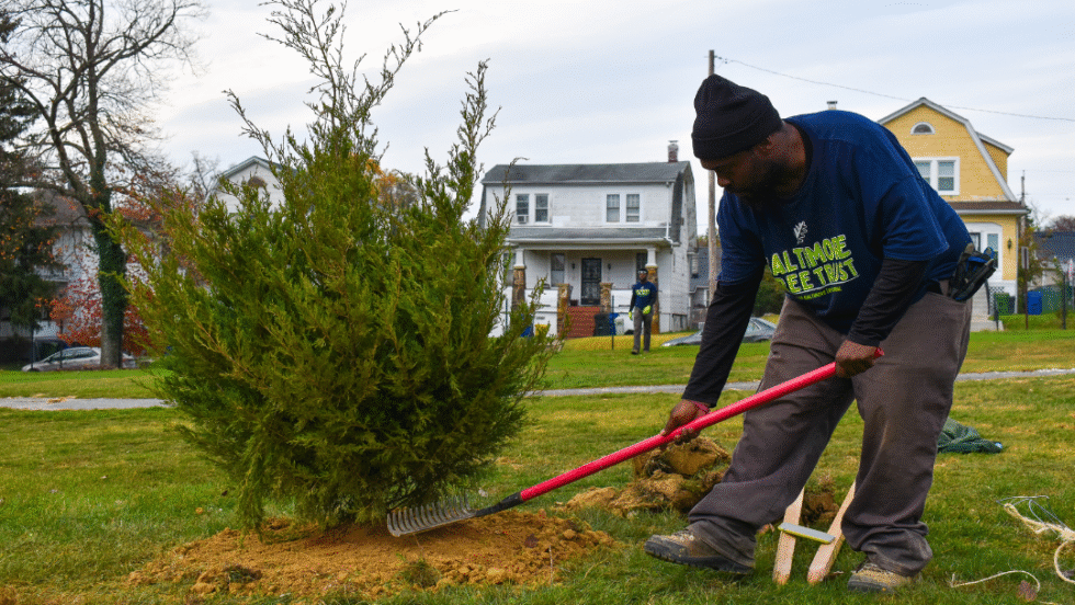 Who We Are - Baltimore Tree Trust