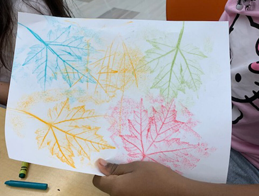 School Partnerships - Baltimore Tree Trust