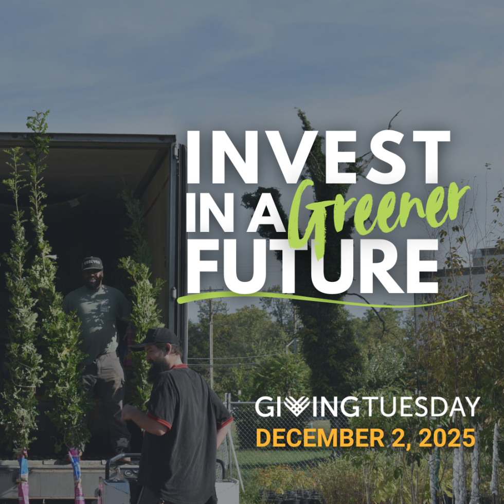Home - Baltimore Tree Trust